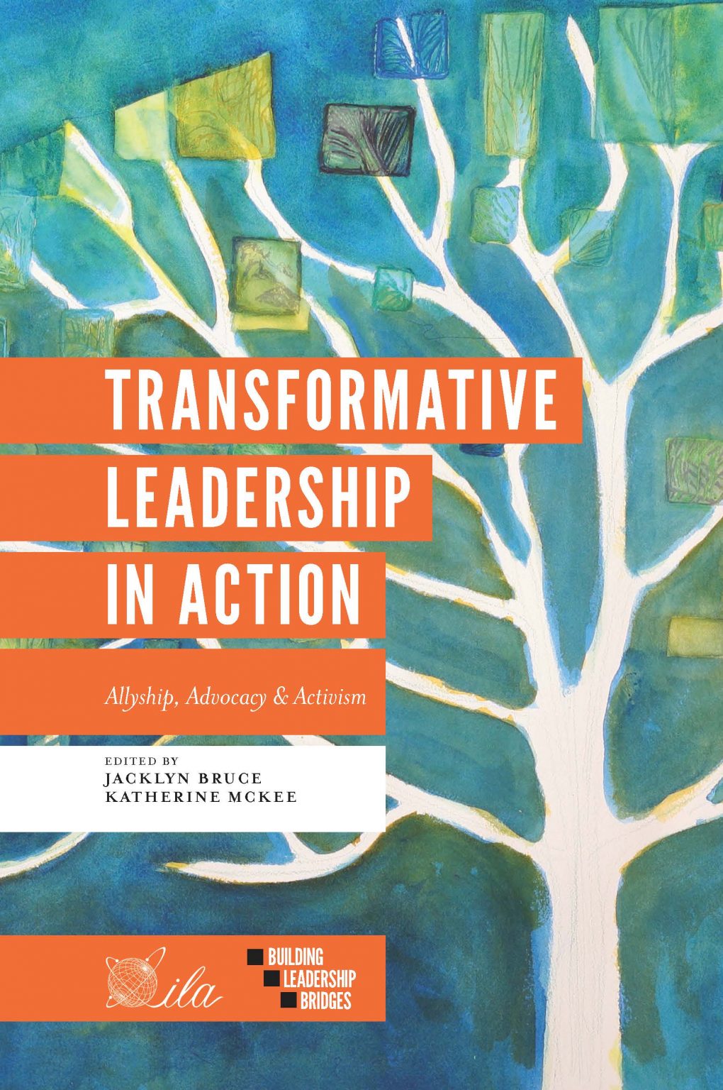 Transformative Leadership in Action: Allyship, Advocacy & Activism ...